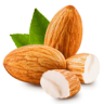 Dry Fruits Name - Explore the List of 50+ Names in English - ABC English