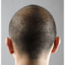 Body Parts Name - Human Body Parts Name in English - ABC English