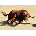 Pet Animals Name in Hindi & English - ABC English