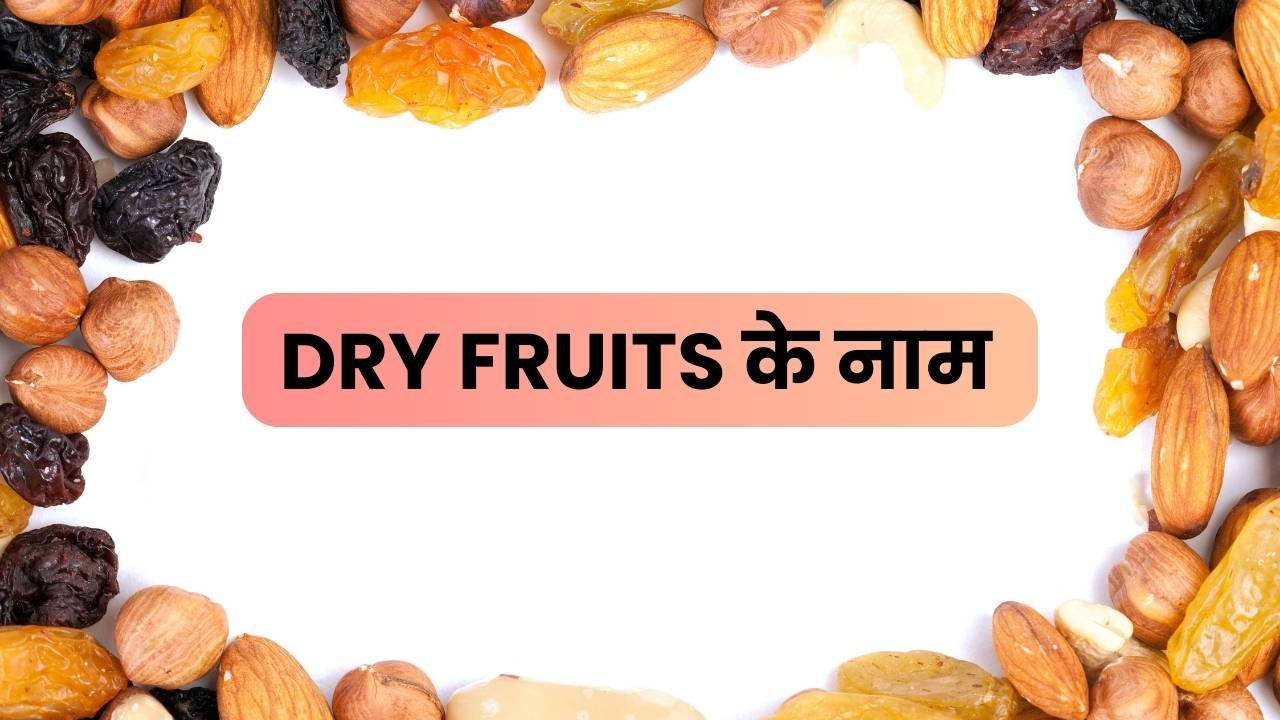 Dry Fruits Name - Explore the List of 50+ Names in English - ABC English