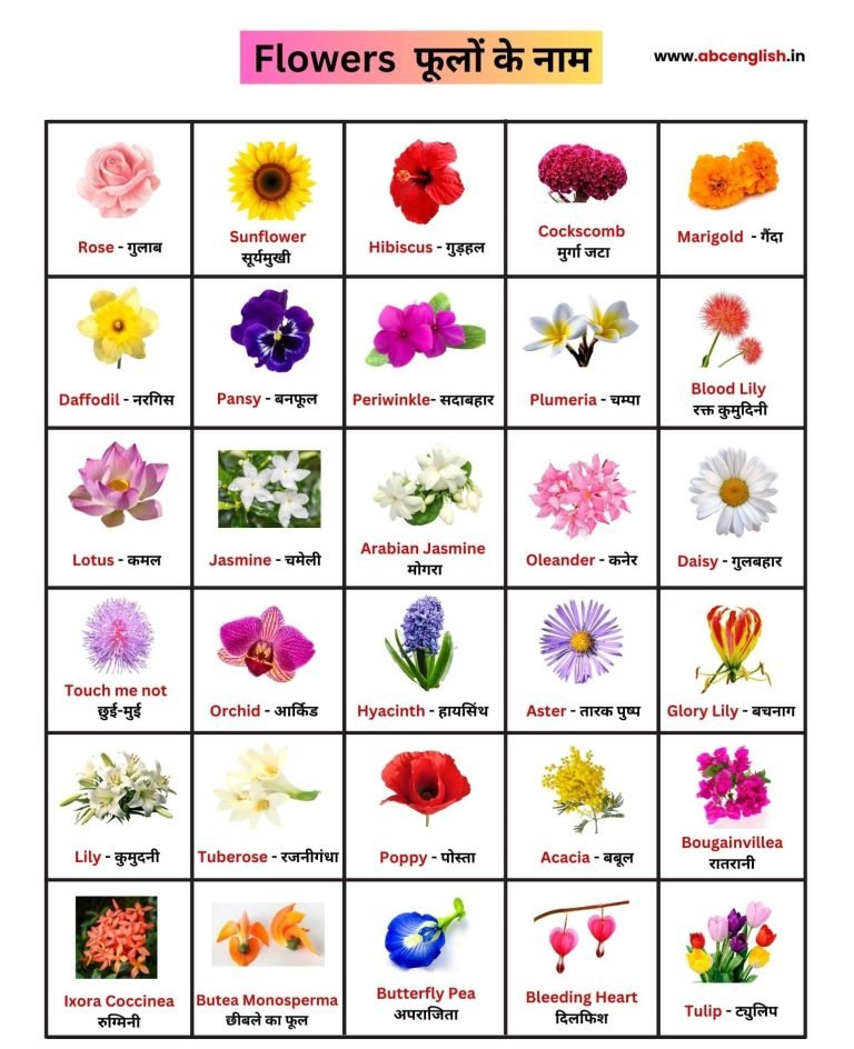 Flowers Names - List of 50+ Names in English & Hindi - ABC English