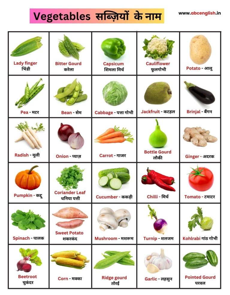 Vegetables Names - List of 50+ Names in English & Hindi - ABC English