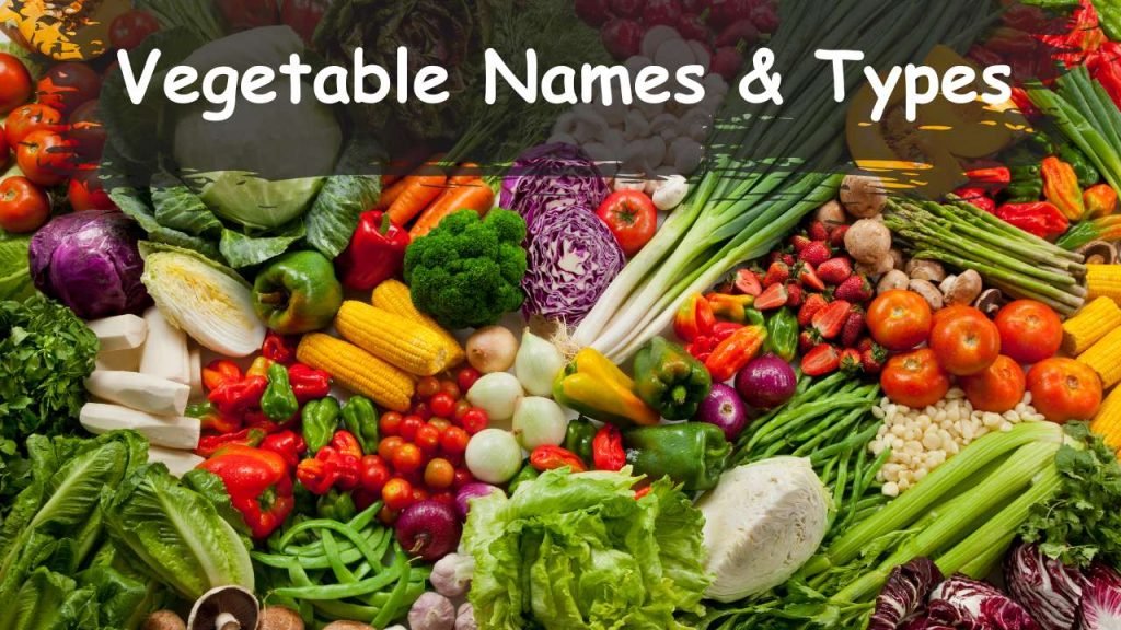Vegetable and Names - List of Vegetables and Their Types