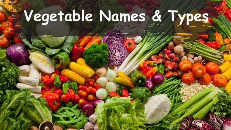 Vegetable and Names - List of Vegetables and Their Types
