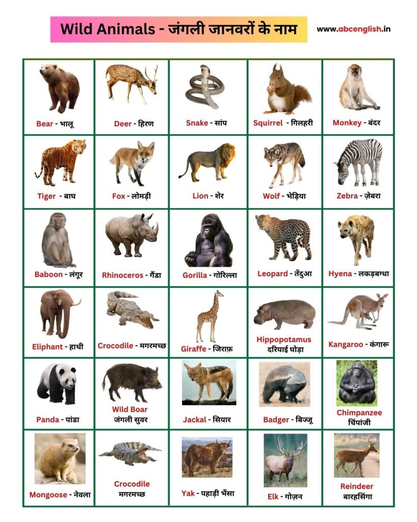 Wild Animals Name in Hindi & English With Pictures - ABC English